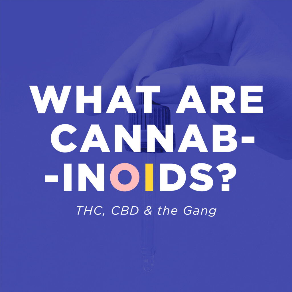 Dank Cannabis | What Are Cannabinoids?: THC, CBD, & the Gang