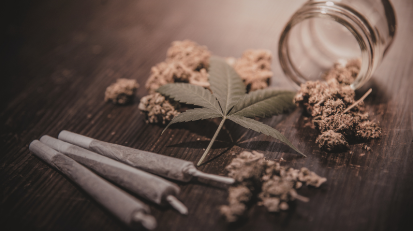 Understanding Cannabis Flower: Whole, Milled, Pre-Rolls.